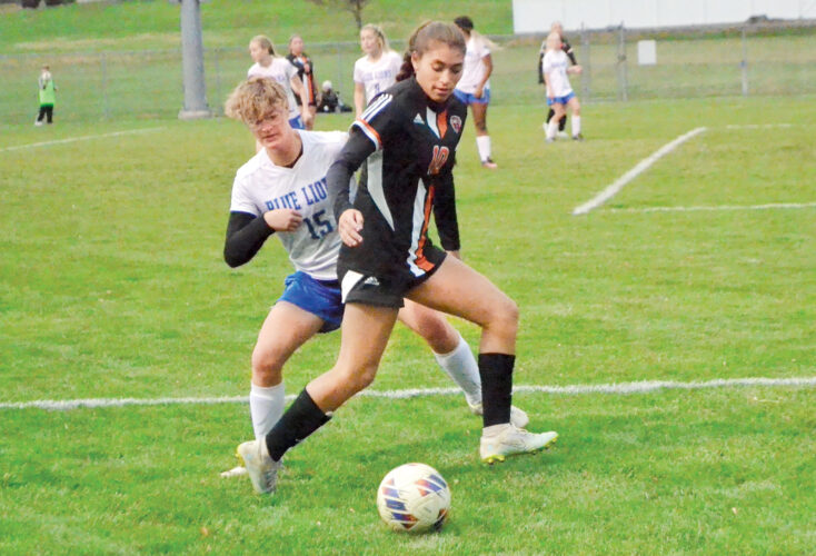 Tigers clobber Lions, advance to districts | News, Sports, Jobs ...
